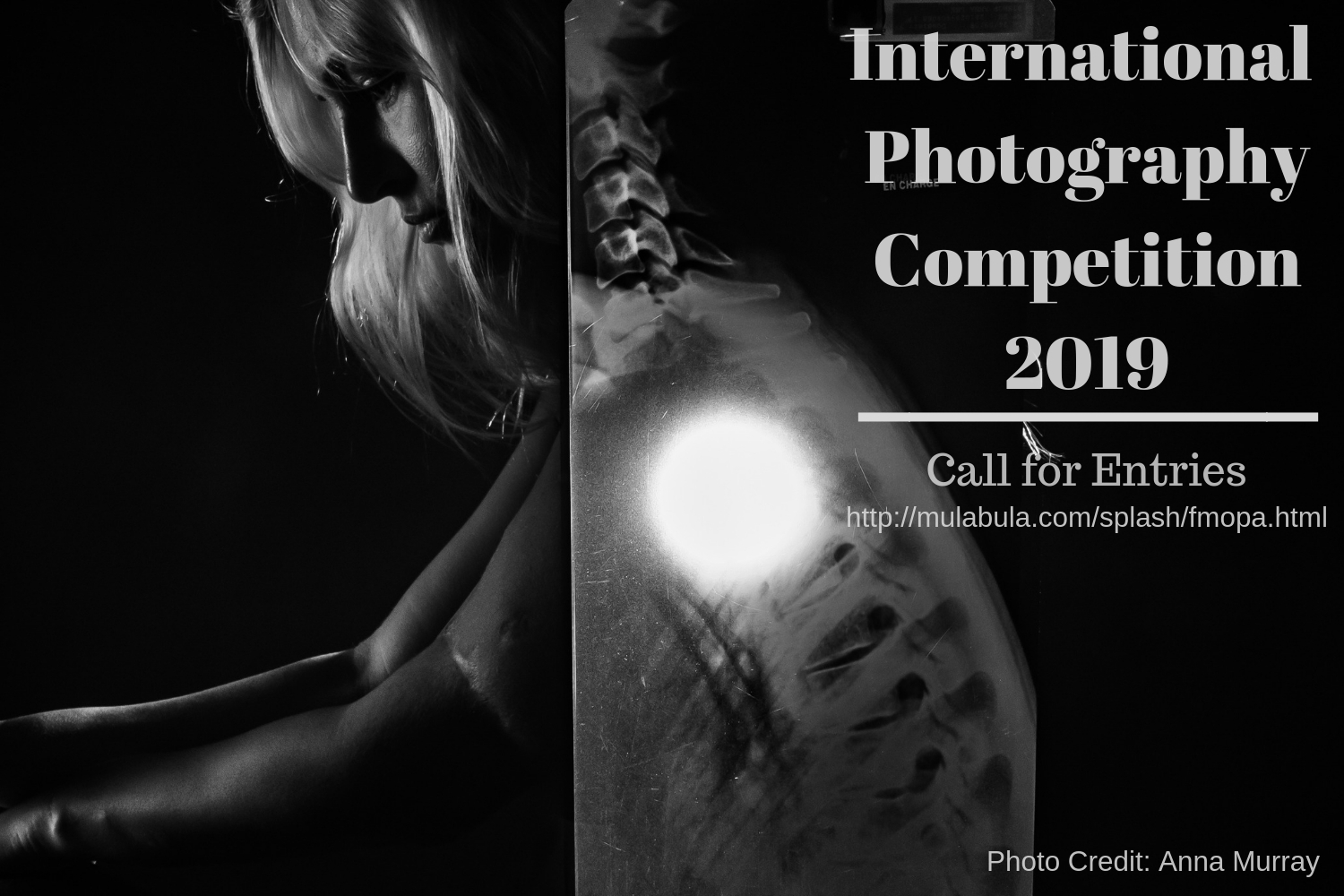International Photography Contest | Photo Contest Guru